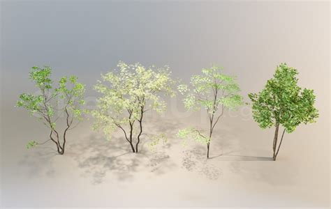 6952 Free Sketchup Trees Models Download 6952 Free Sketchup Trees Models Download