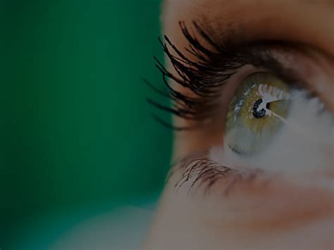 Perception Vs Perspective Depths Of Human Understanding Meer