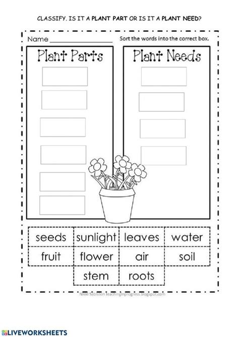 15 Classifying Animals Worksheets Preschool Animal Worksheets Animal
