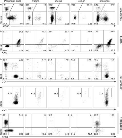 Humanized Cd34 Hsc Transplanted Nsg Mice Exhibit Ccr5 Cd4 T Cell