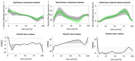 Sagittal Plane Joint Moments The Upper Figures Present The Averaged