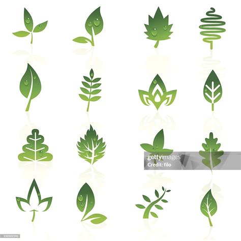 Leaf Elements High Res Vector Graphic Getty Images