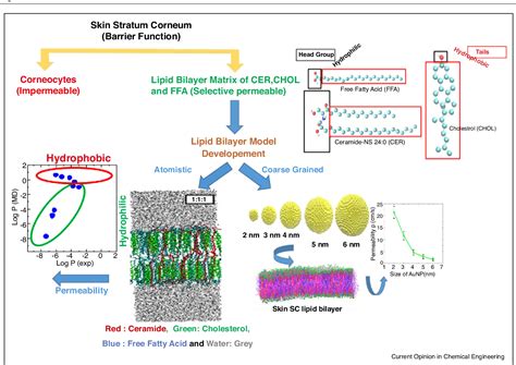 Figure 2 From Modeling Self Assembly Of Surfactants At Interfaces Semantic Scholar