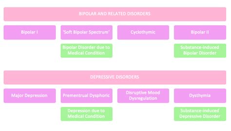 Chapter 7 Diagram Quizlet