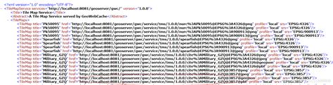 Geoserver 发布矢量切片服务，并使用leaflet 加载leaflet Geoserver 矢量切片 Csdn博客