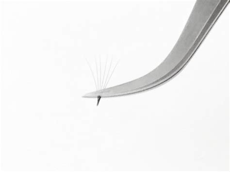 Stainless Steel Extra Dun Pincet Walbk 16 7sa Mondiparts Bv