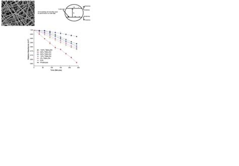 Nanomaterials Free Full Text Preparation Of Tio2 Wo3 C N Composite Nanofibers By