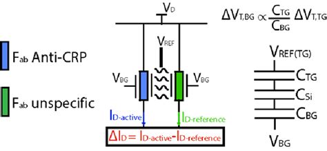 Reference Subtracted Response Principle Two Identical Sinw Arrays Are