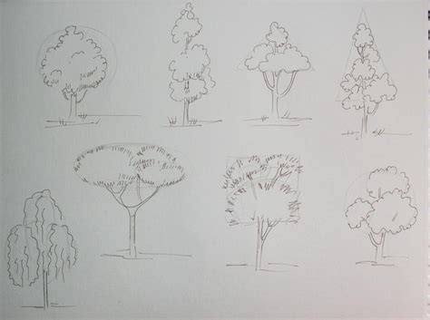 Fun And Easy Watercolor Trees Skillshare Student Project