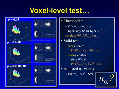 Ppt Parametric Thresholding Methods Random Field Theory And False Discovery Rate Powerpoint