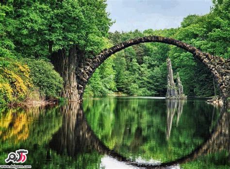 عکس های آرام بخش و زیبا از طبیعت