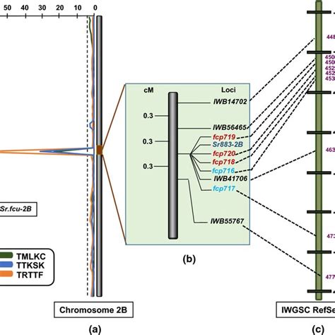 Genetic Linkage Map Of Chromosome 6a And Single Trait Multiple Interval