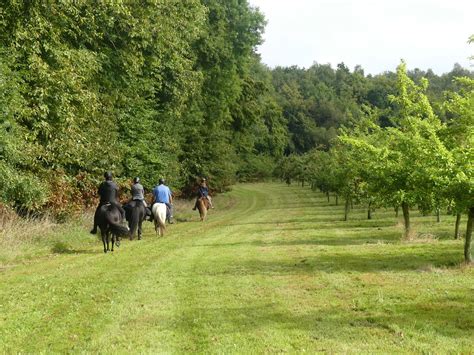 Grten 2023 Leure Authentique Crte Normandie