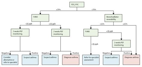 Current Nice Criteria For An Asthma Diagnosis Criteria To Be Applied In