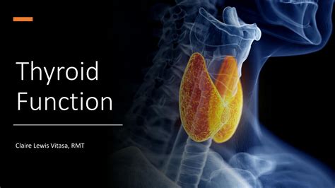 Solution Thyroid Function Ppt Studypool