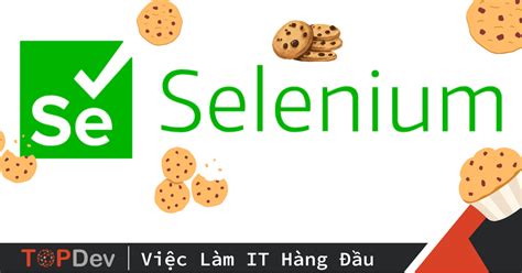 xử lý và làm việc với cookies trong selenium webdriver