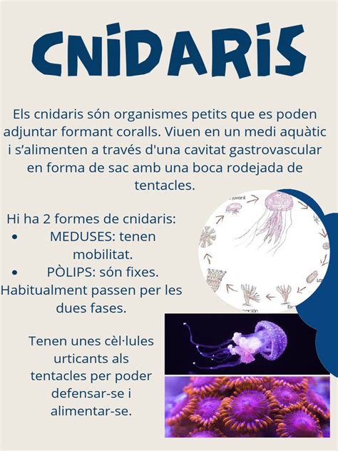Cnidarios Pdf