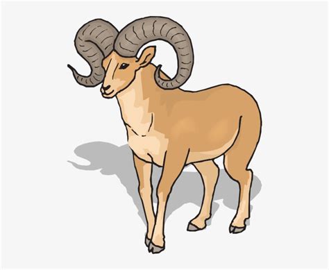 Ram Horns Clipart