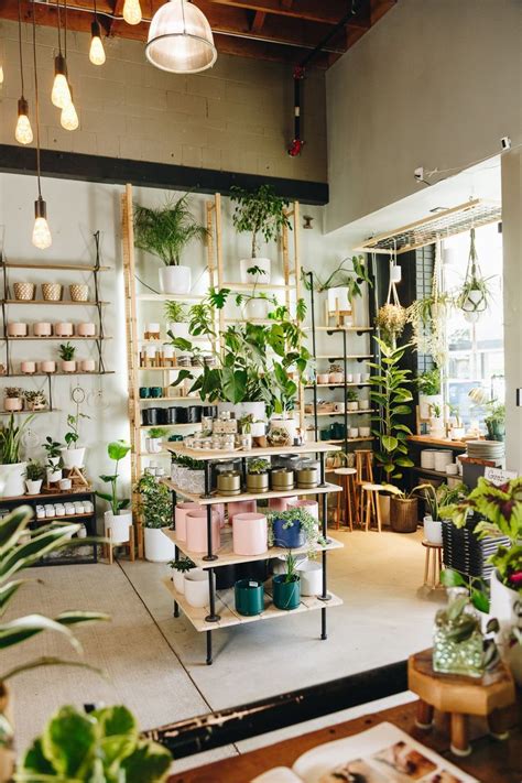 Plant Shop Renton Flower Shop Interiors Flower Shop Flower Shop Design