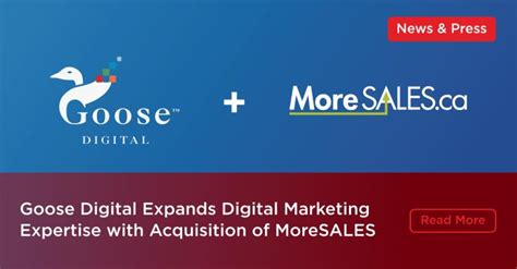 Goose Digital On Linkedin Goose Digital Expands Digital Marketing
