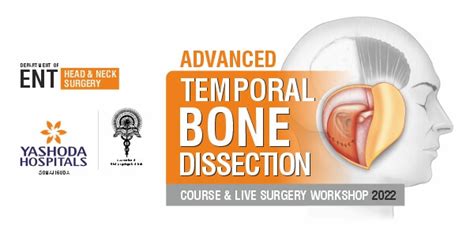 Advanced Temporal Dissection Bone