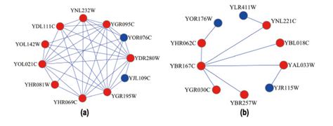 Examples Of Functional Modules Including Periodic Genes The Predicted Download Scientific