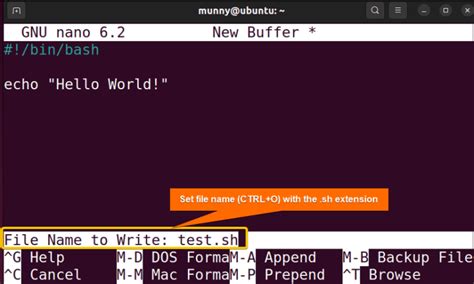 Bash Scripting Basics