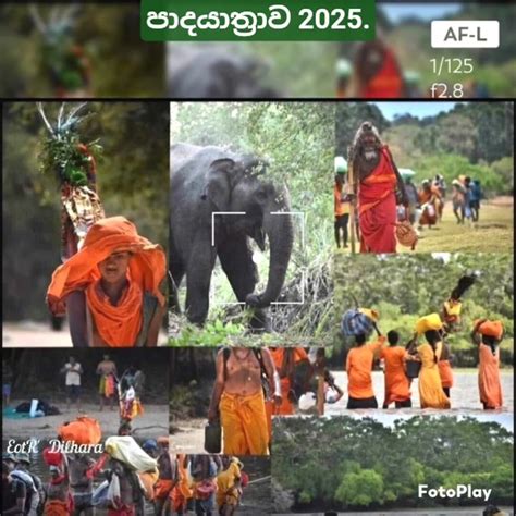 🙏🦚 ️කතරගම ඇසළ පෙරහැර මංගල්‍යය සදහා පා ගමනින් පැමිණෙන ජානතව සදහා යාල ඔකද අද විවෘත කෙරේ ️🦚 Youtube