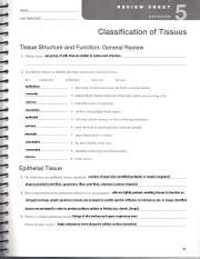 Classification Of Tissues Review Sheet Exercise Answers REVIEW SHEET NAME An M R H Vi To I
