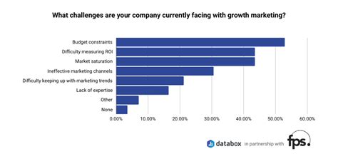 Saas Growth Marketing Challenges And Wins In 2024 Databox