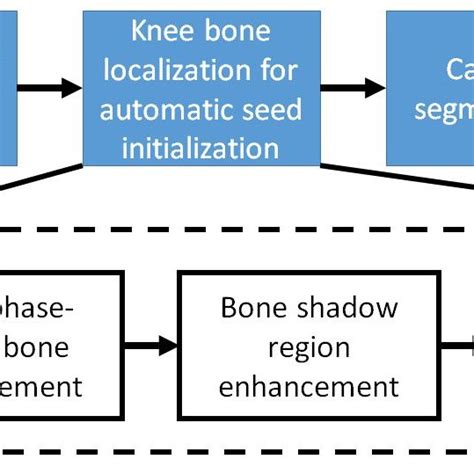 Flowchart Of Proposed Cartilage Segmentation And Thickness Measurement