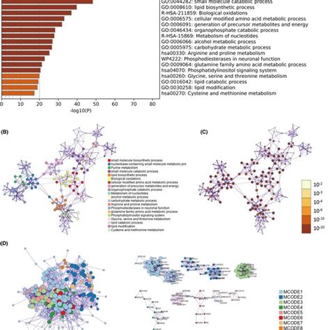 Functional Enrichment Of These 270 Degs A Bar Graph Of Enriched