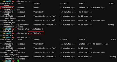 docker容器引擎 docker引擎 csdn博客