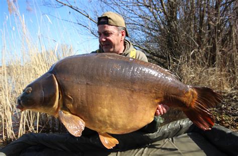 Bug Record Smashed With 82lb Monster Dna Baits