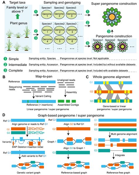 综述：植物超级泛基因组的发展与前景 生物通