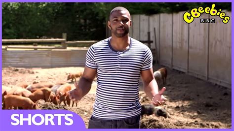 Cbeebies Down On The Farm Tv Trailer Youtube