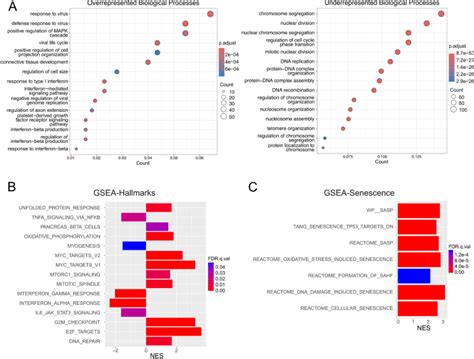 Molecular Profiling Of Glioblastoma Derived Extracellular Vesicles