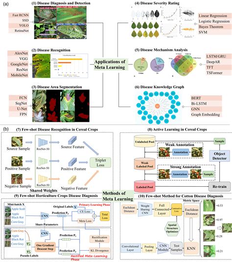 Meta‐learning shows great potential in plant disease recognition under ...