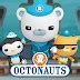 Octonauts Français Youtube