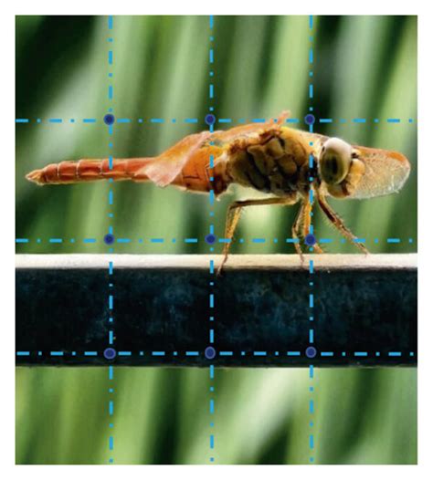 A Image In The Euclidean Space And B Graph Data In The Download Scientific Diagram
