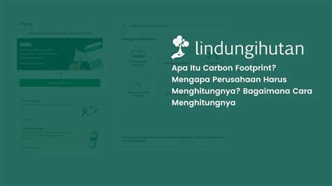 Apa Itu Carbon Offset Tebus Karbon Skema Dan Implementasi
