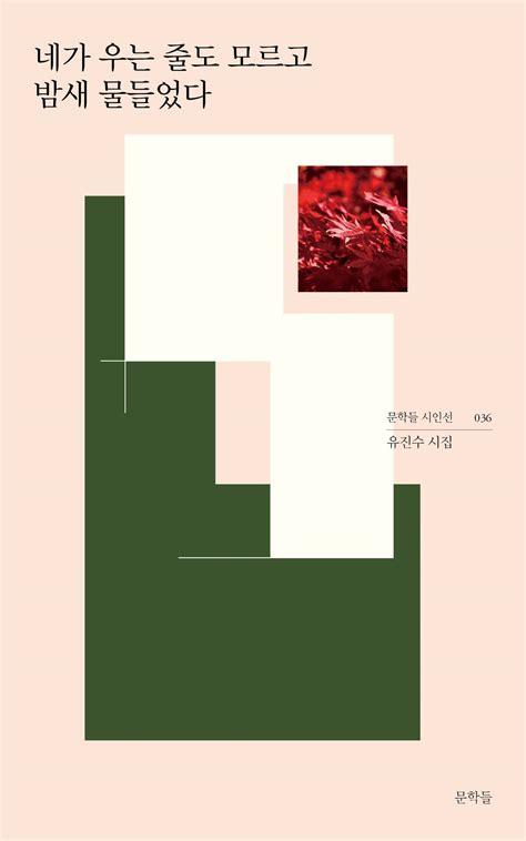 문학들 심미안 문학들 시인선 036 언어의 융합과 감동의 경로 유진수 시집 『네가 우는 줄도 모르고