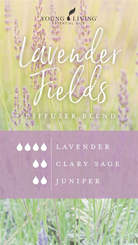 Pin On Diffuser Blends