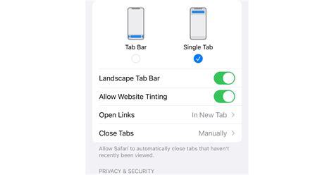 Out Of This World Info About How To Clear Safari Address Bar History Itemad