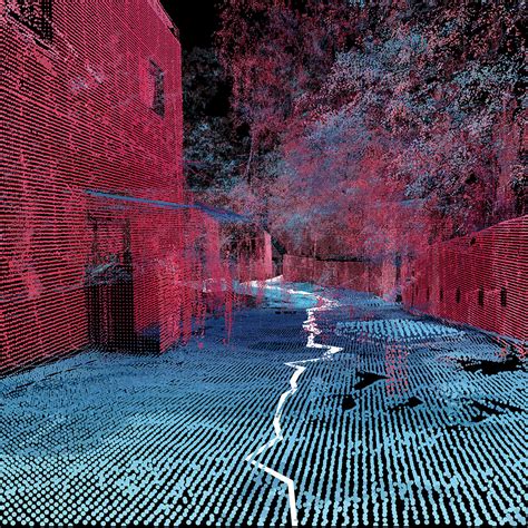 Mit Engineers Transform Plants Into Lights Using Firefly Enzyme