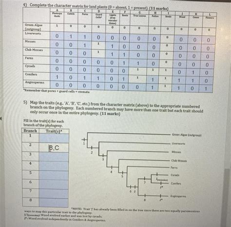 Solved I Need Help Id To Know If The Character Matrix I Solved I Need Help Id To Know If The Character Matrix I