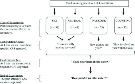flow diagram experiment step by step procedure download
