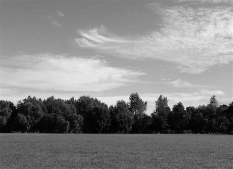 Grassy Background Verdelife
