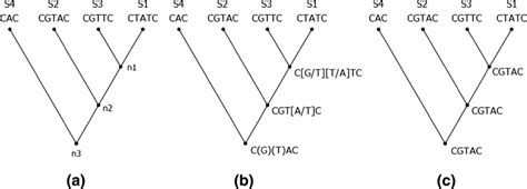 Example Tree A And Four Sequences Optimized Using The DO Method In Download Scientific