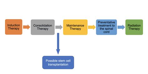 T Cell Acute Lymphoblastic Leukemia Symptoms And Diagnosis